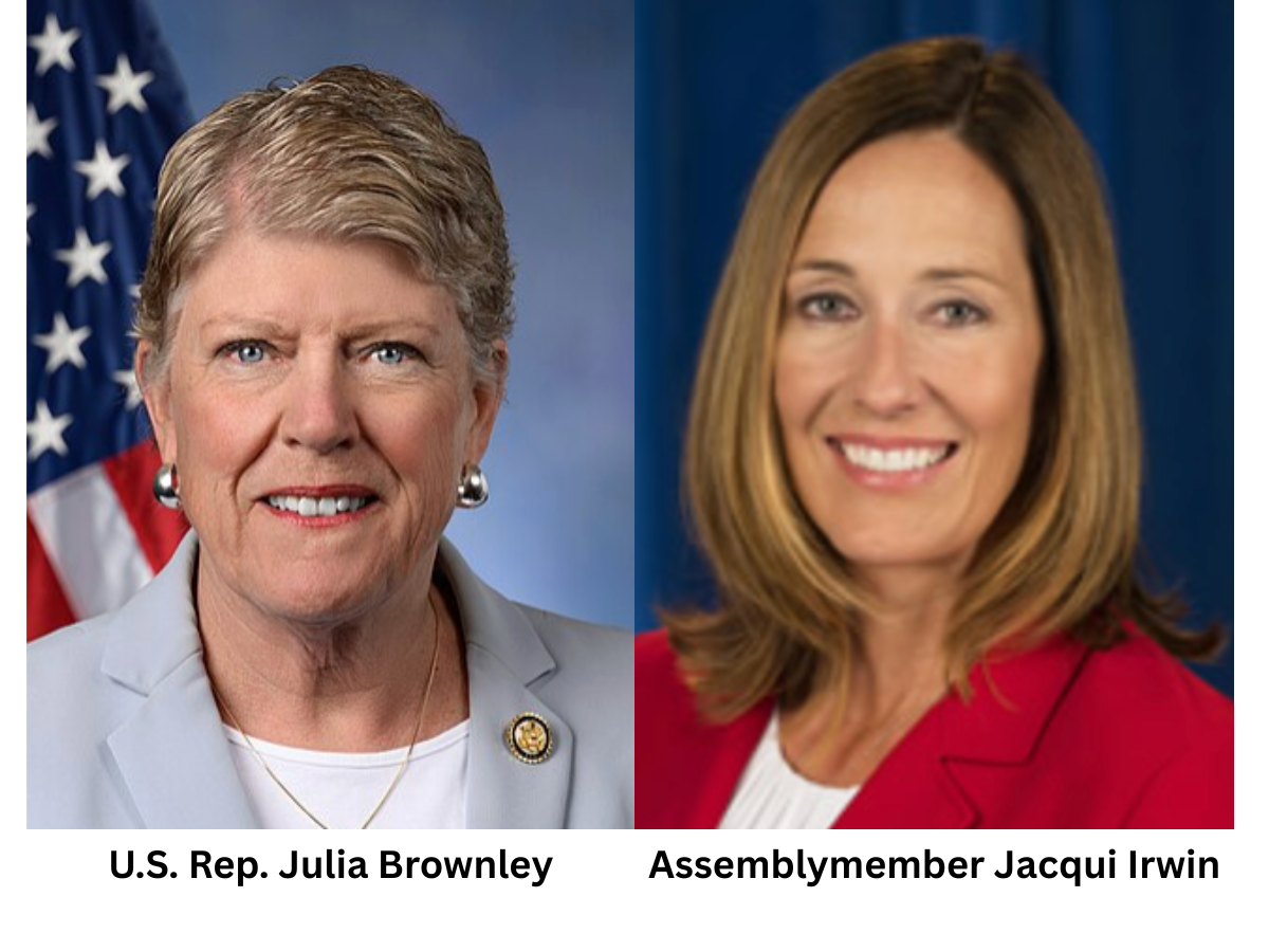 Brownley retires, endorses Irwin as her successor - LA County Politics